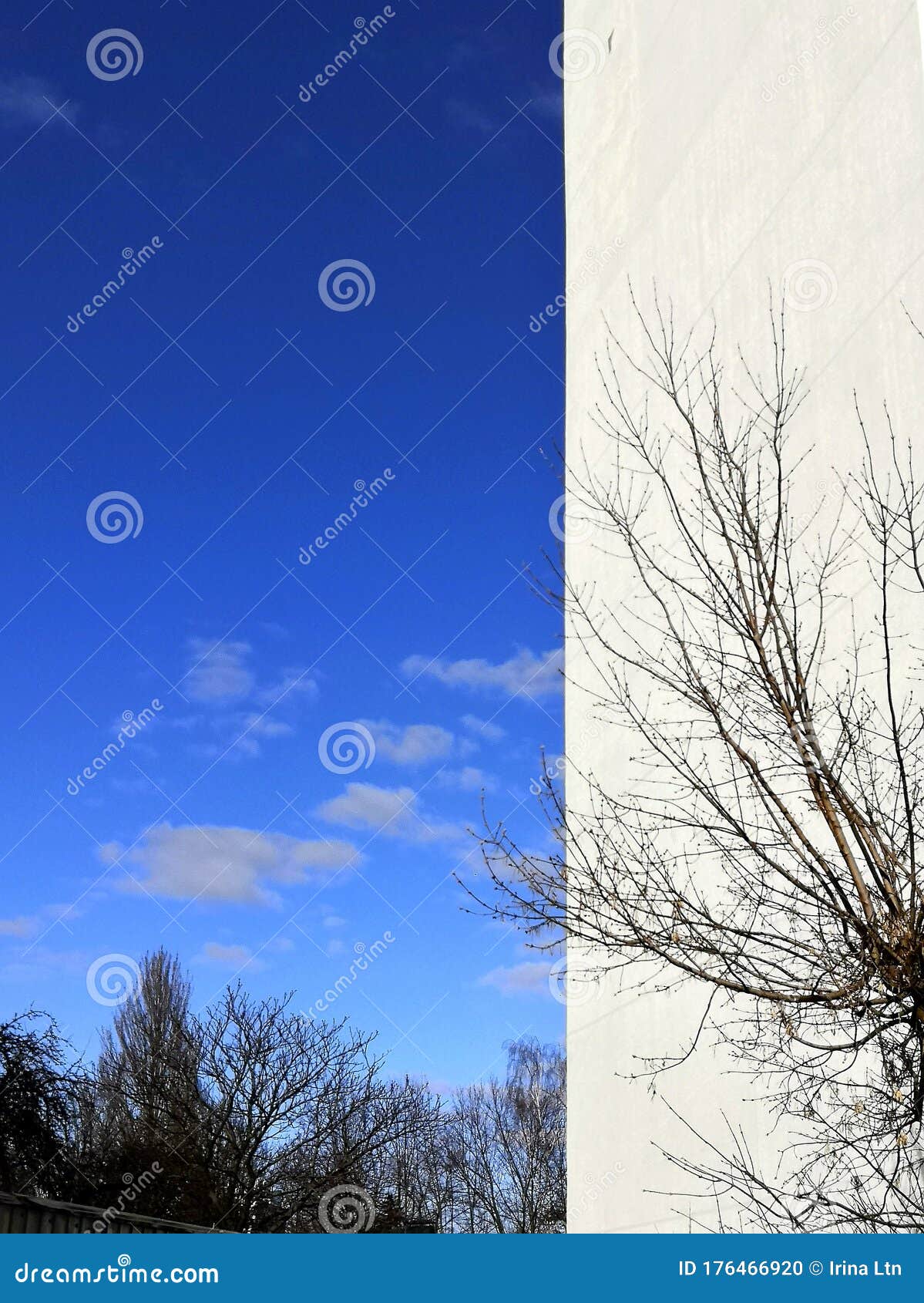 Town contrast Building stock photo. Image of tree, town - 176466920