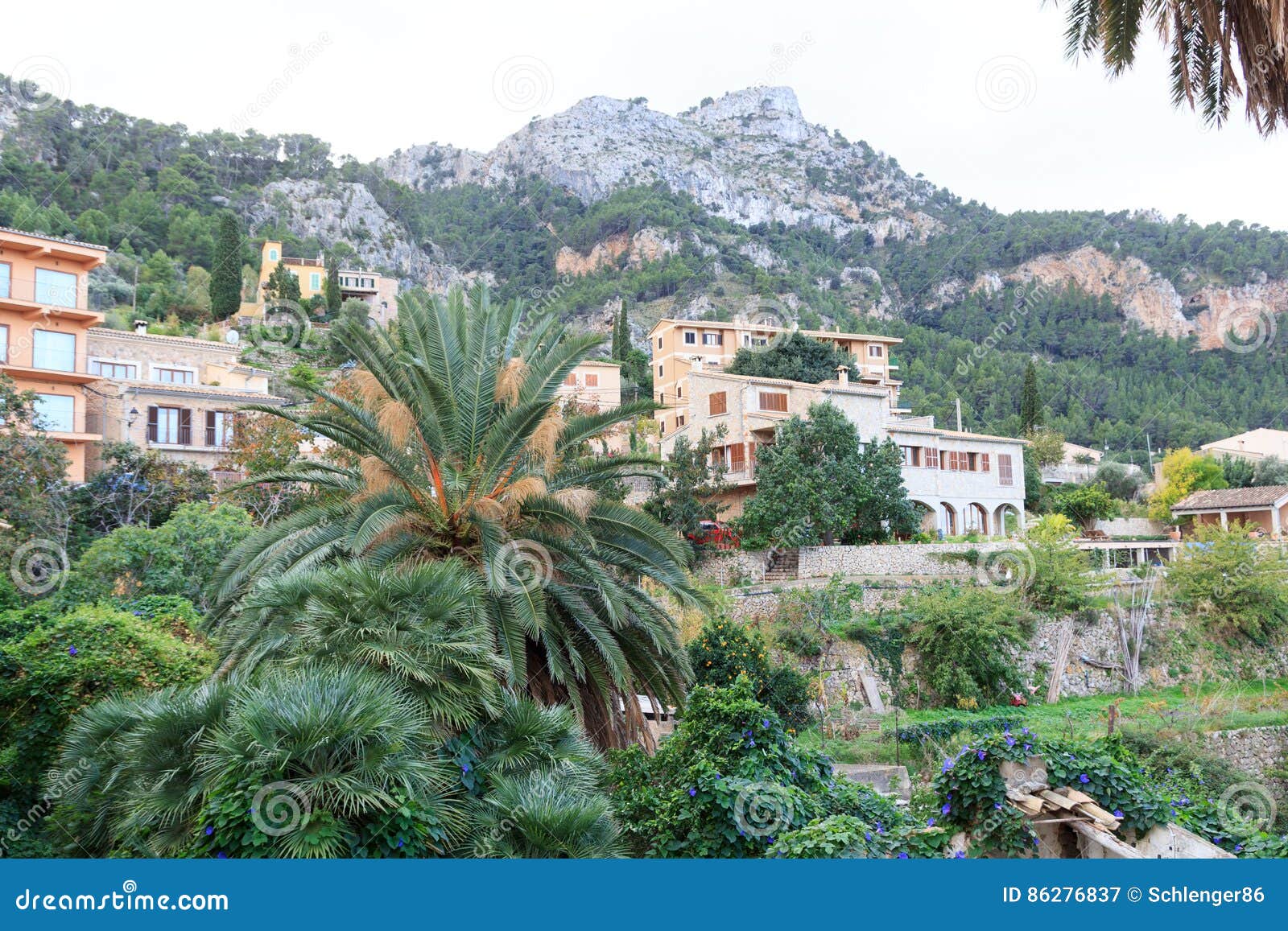 Town Estellencs, Palm Tree and Mountain on Majorca Stock Image - Image ...