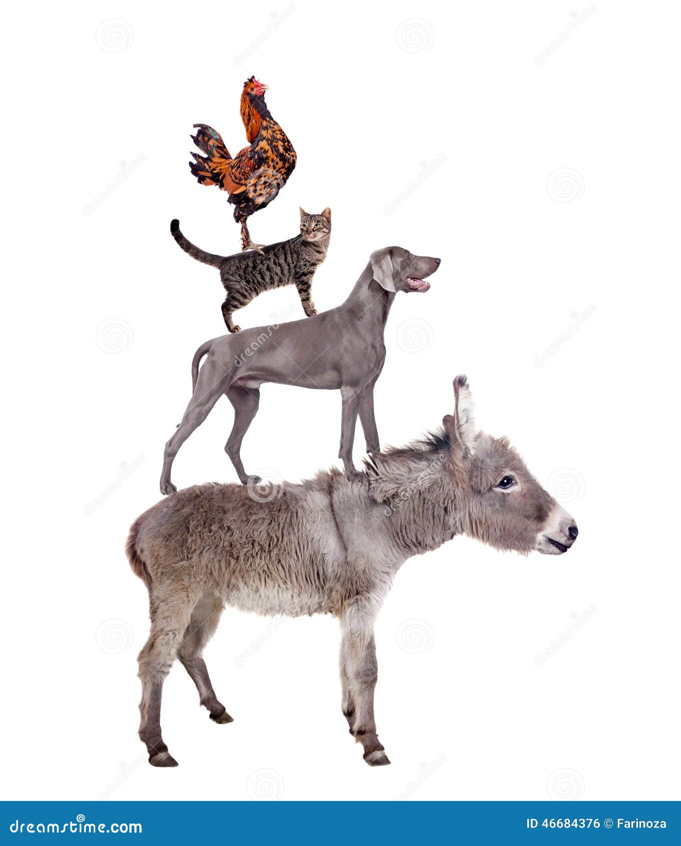 The Town Musicians of Bremen Stock Photo - Image of collage, fable ...