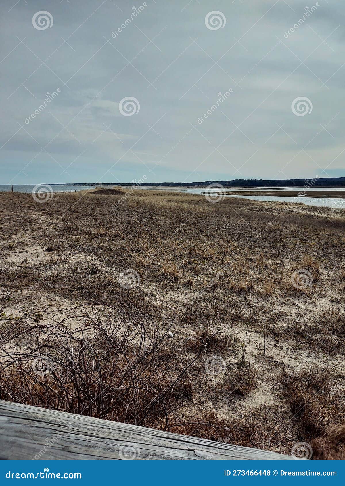 Town Neck Beach, Cape Cod stock photo. Image of beach - 273466448