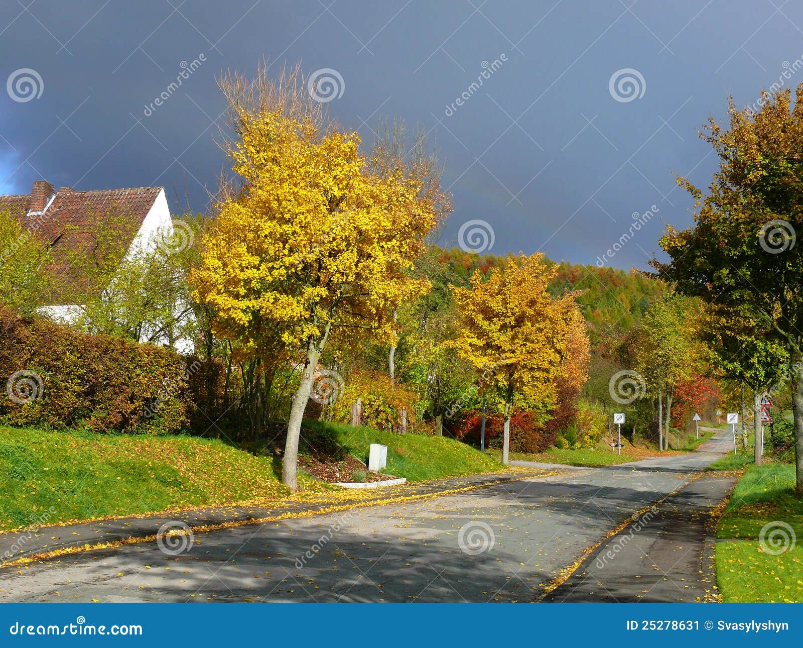 Town road in autumn stock image. Image of hilly, forest - 25278631
