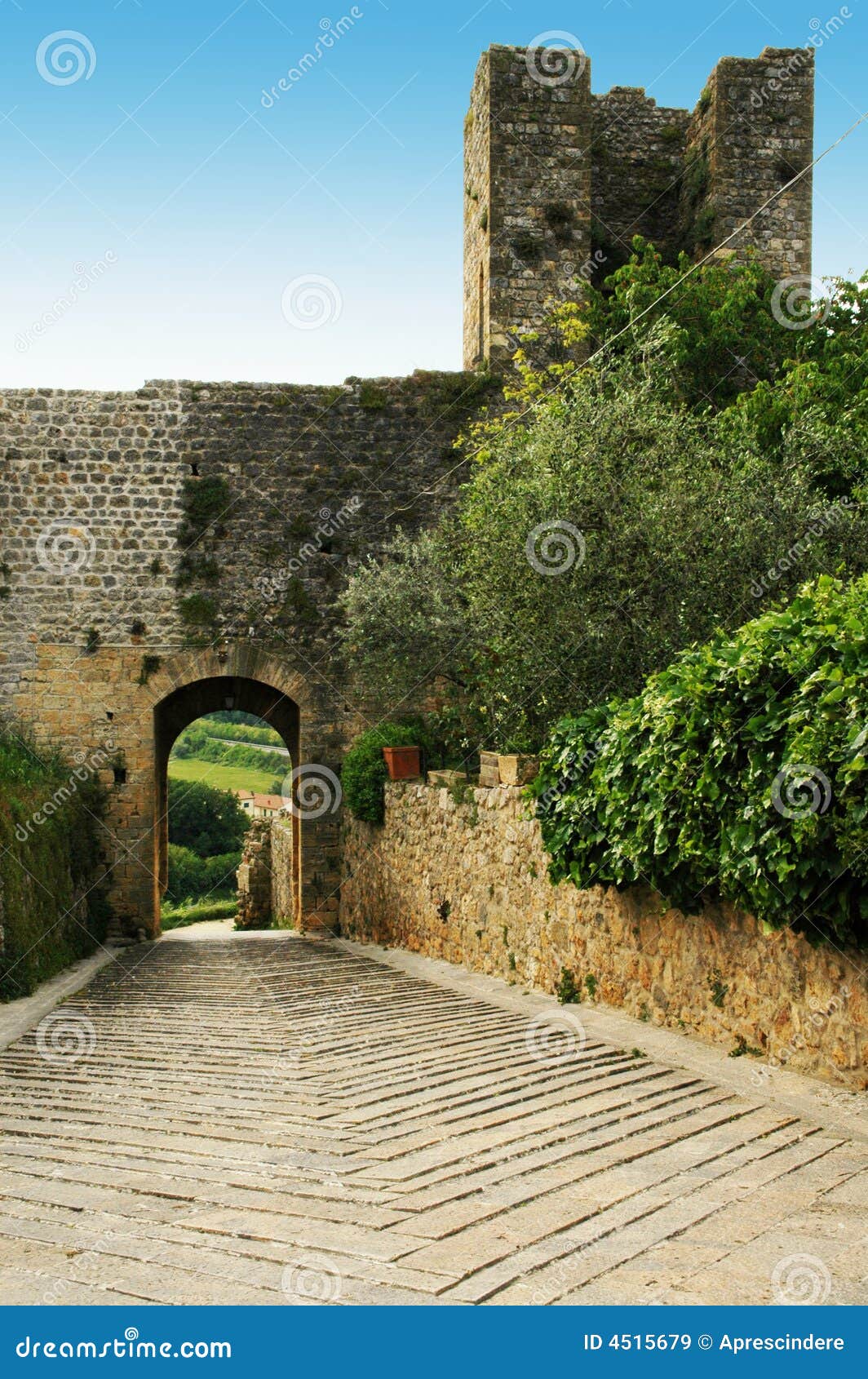 Town And Walls Picture. Image: 4515679