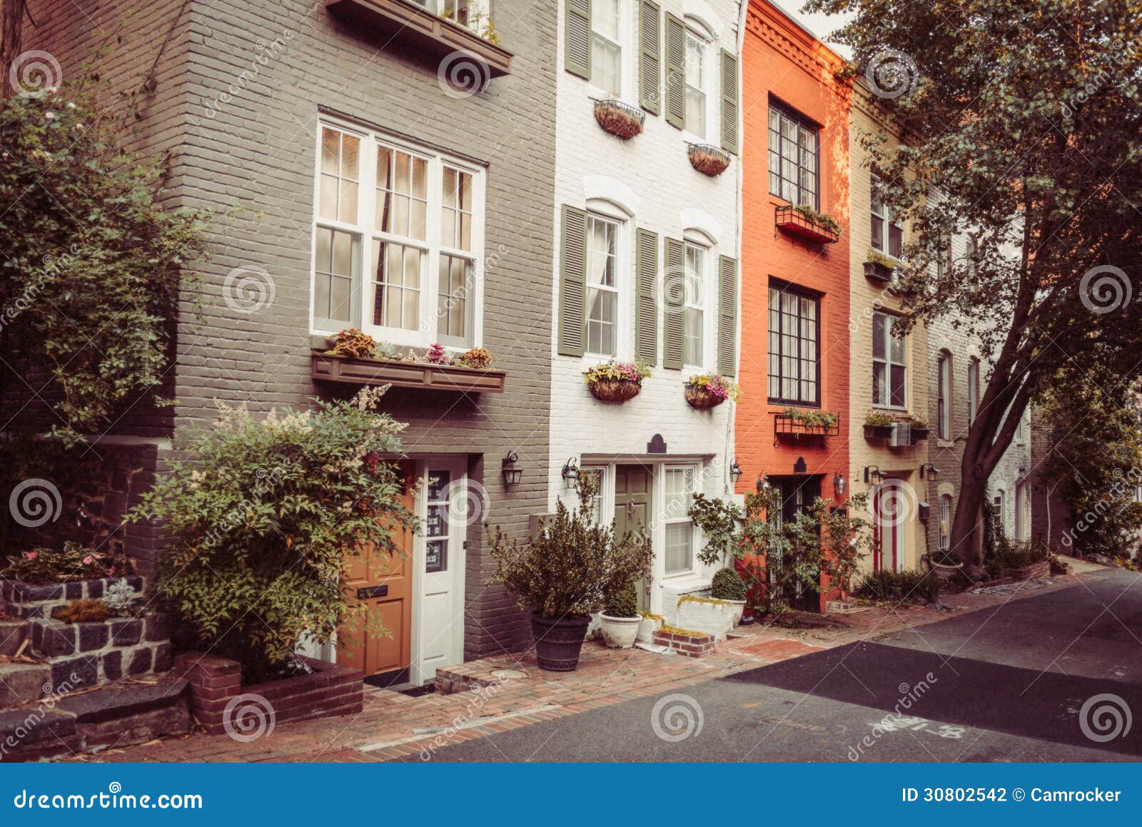 Townhouses in Georgetown, Washington DC Stock Photo - Image of tree ...