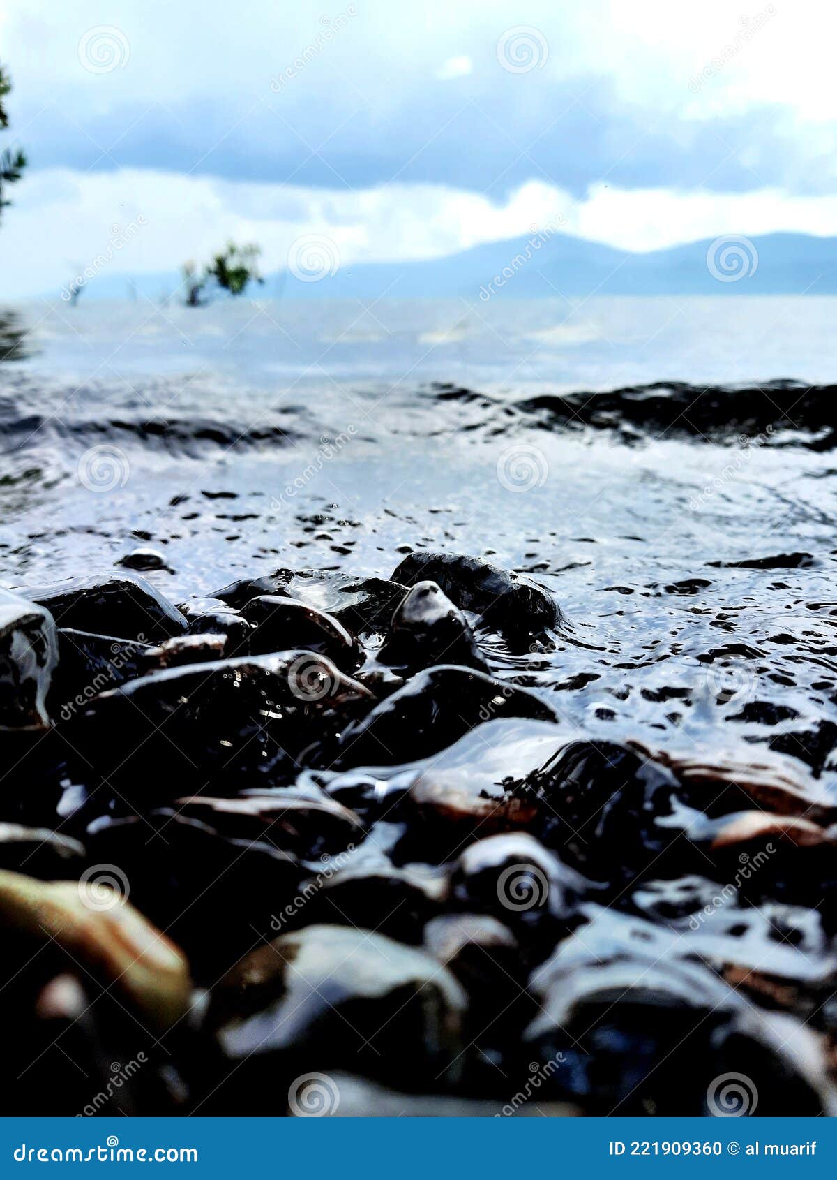 Towuti Lake more beautiful stock photo. Image of beautifu - 221909360