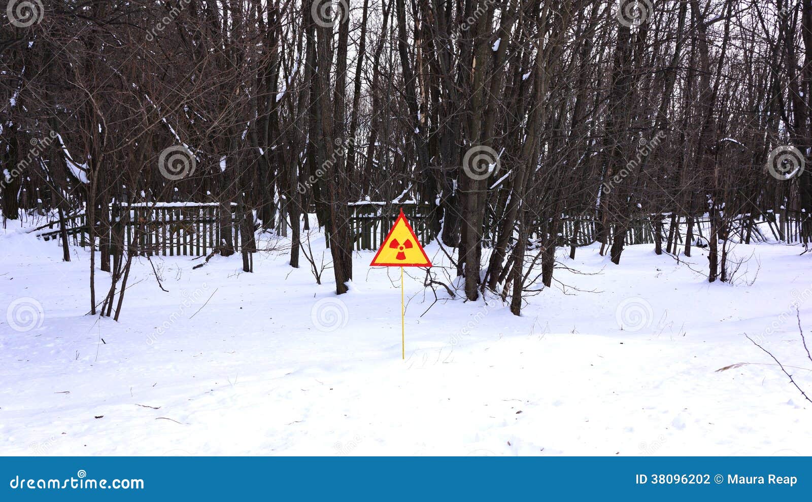 Toxic Trees stock photo. Image of energy, field, abandoned - 38096202
