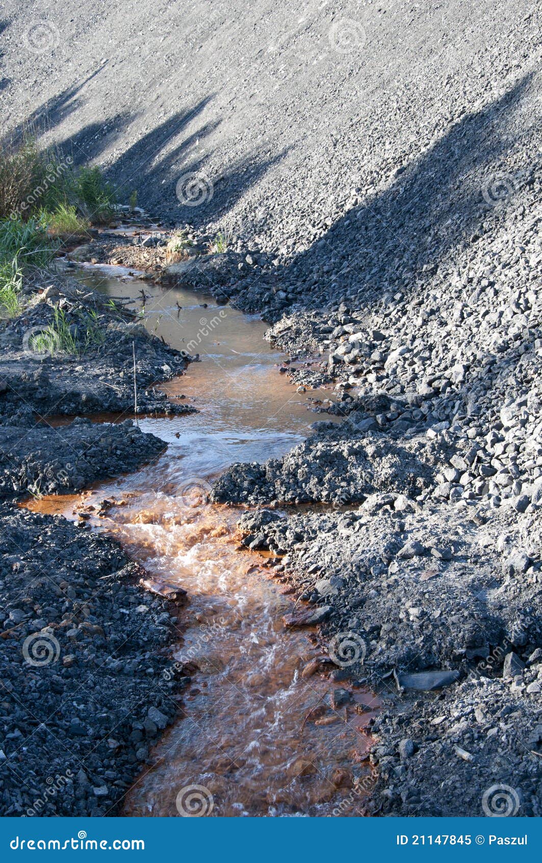 Toxic water stock image. Image of unhygienic, ecology - 21147845