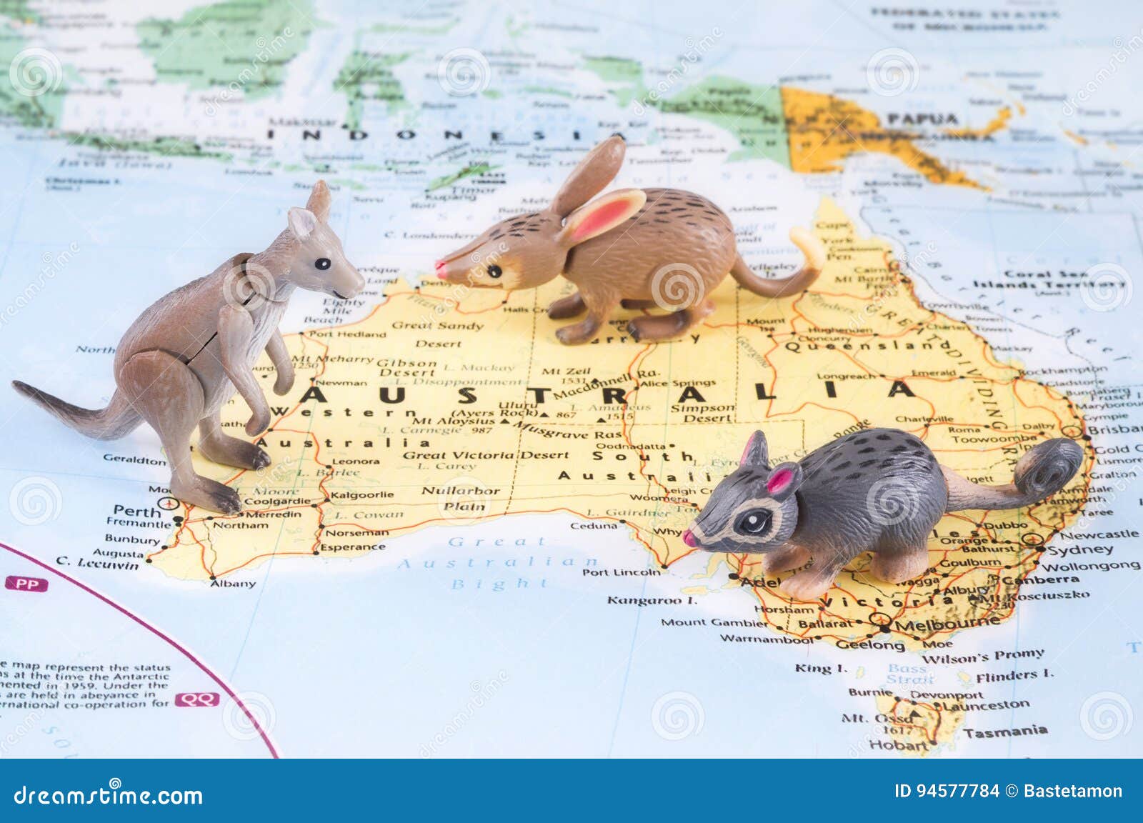 Toy Australian Animals on Map Stock Photo - Image of brown, conceptual ...