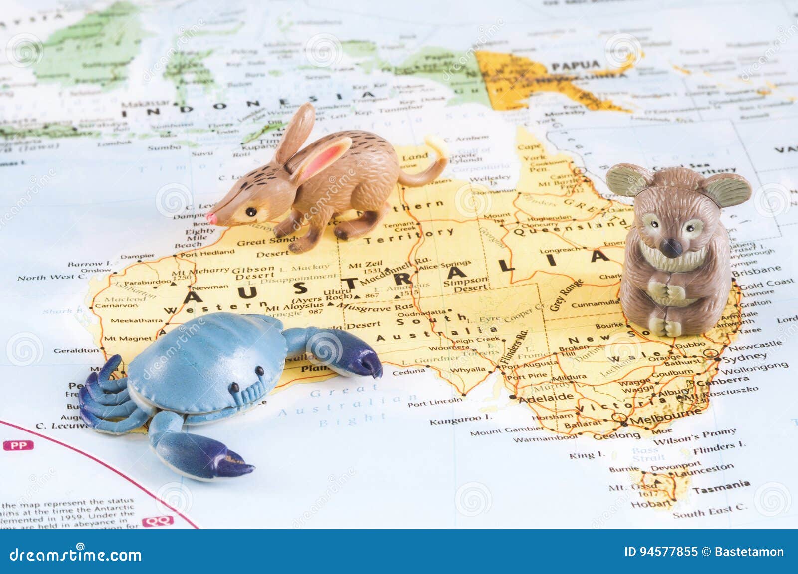 Toy Australian Animals on Map Stock Image - Image of bilby, idea: 94577855