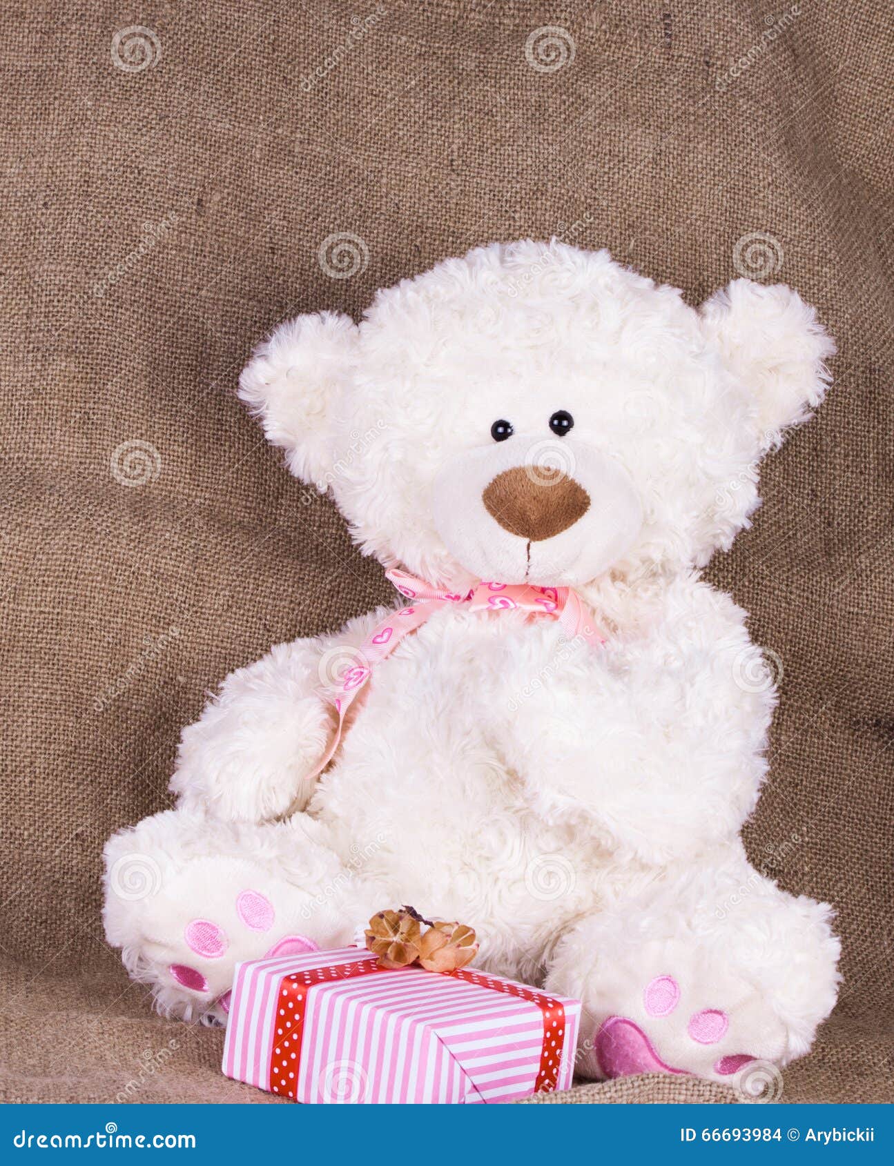Toy bear with gift box stock photo. Image of small, layette - 66693984
