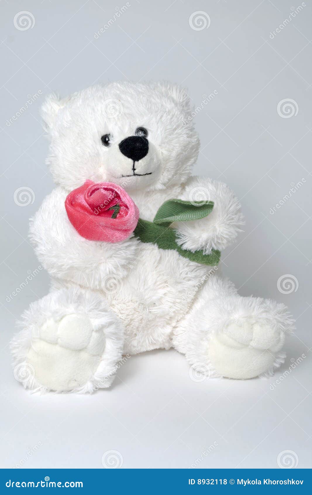 Toy Bear Holding Red Rose in Arms Stock Photo - Image of greeting ...