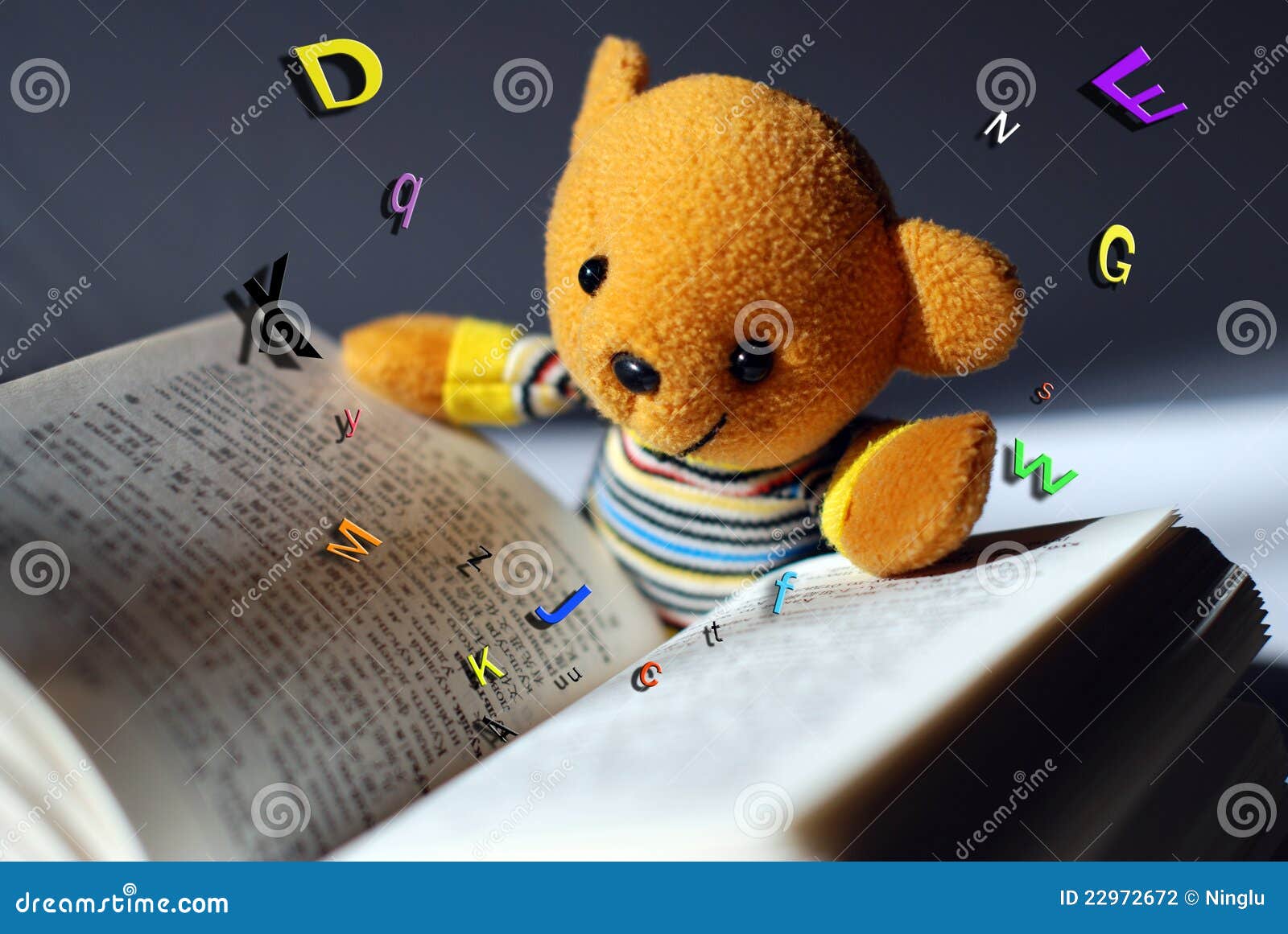 Toy bear reading stock photo. Image of body, learning - 22972672