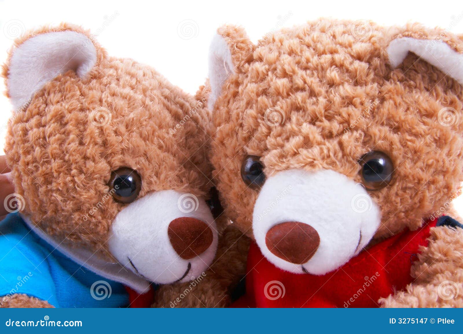 Toy bears together stock image. Image of gift, blank, blue - 3275147
