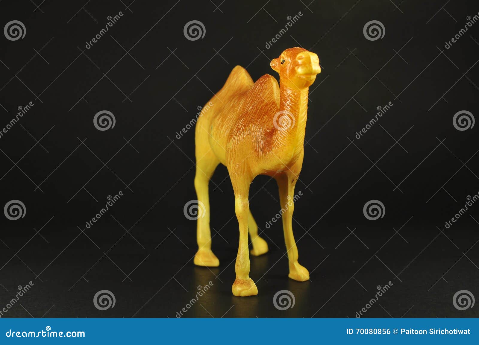 Toy camel brown on black . stock photo. Image of brown - 70080856