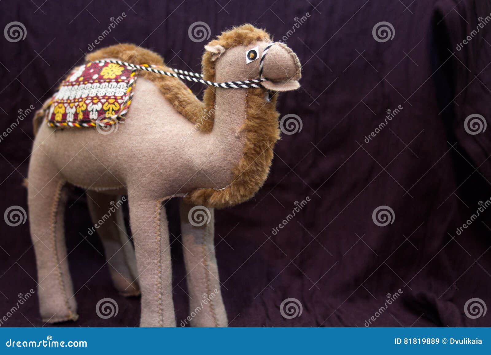 A Camel That Is Dark In Color Stock Photography | CartoonDealer.com ...