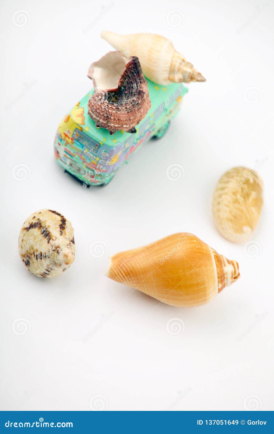 Seashell On A White Background Royalty-Free Stock Photography ...