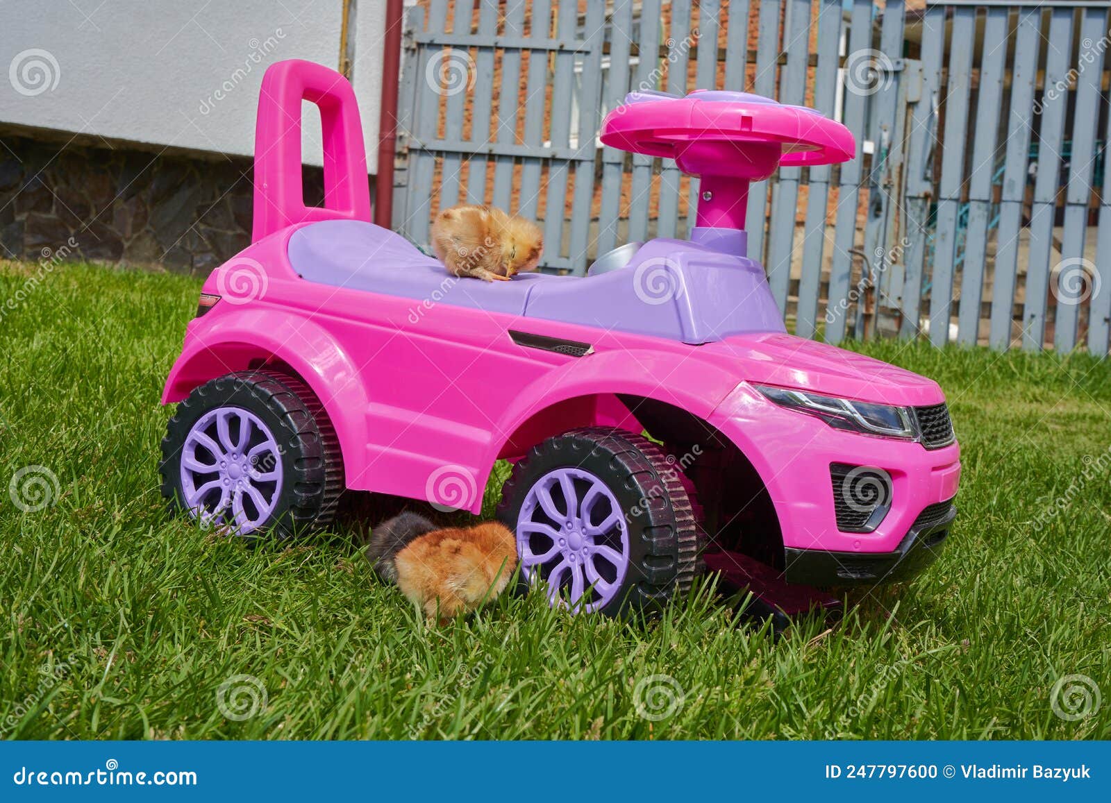 Toy Car in the Yard,new Pink Car with Chickens in the Yard Stock Photo ...