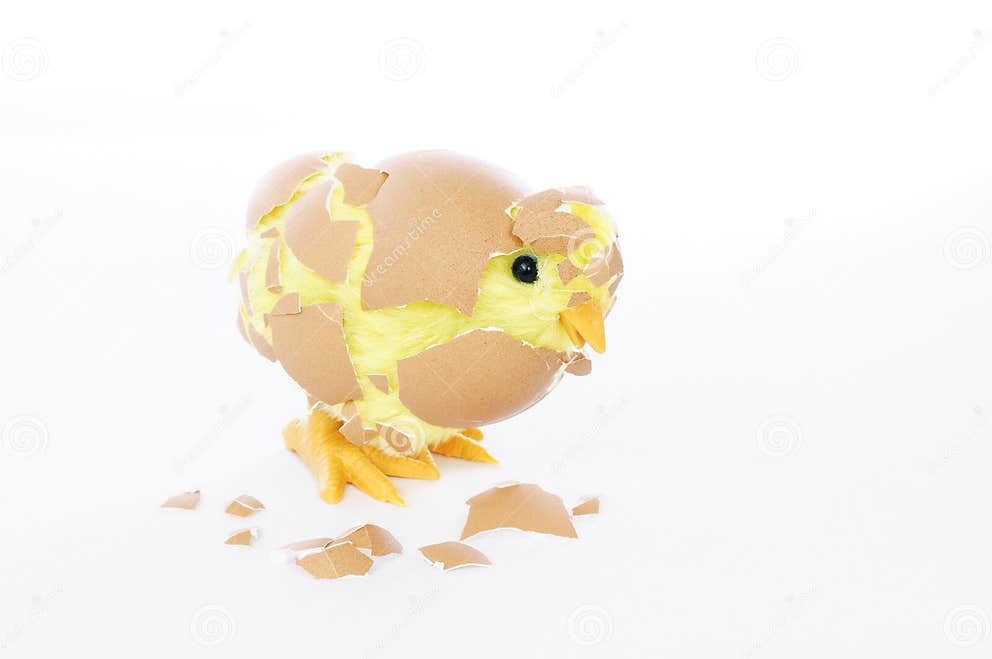 Toy Chick Breaking Out of Eggshell Stock Image - Image of newborn, bird ...