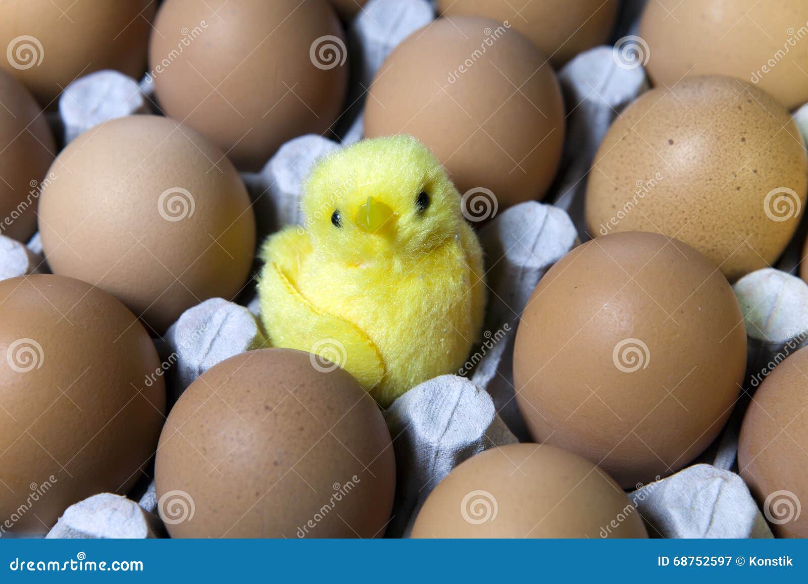 Toy Chicken on Packing of Eggs Stock Image - Image of bird, animal ...