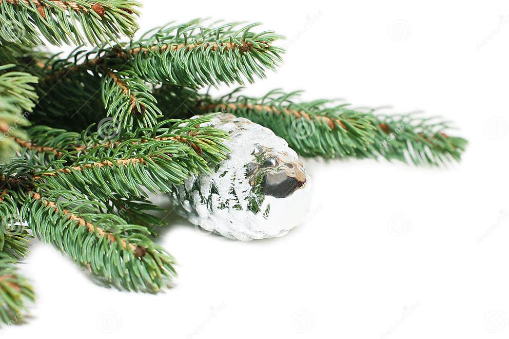 Toy Cone on a Fur-tree Branch Stock Photo - Image of tree, fragility ...