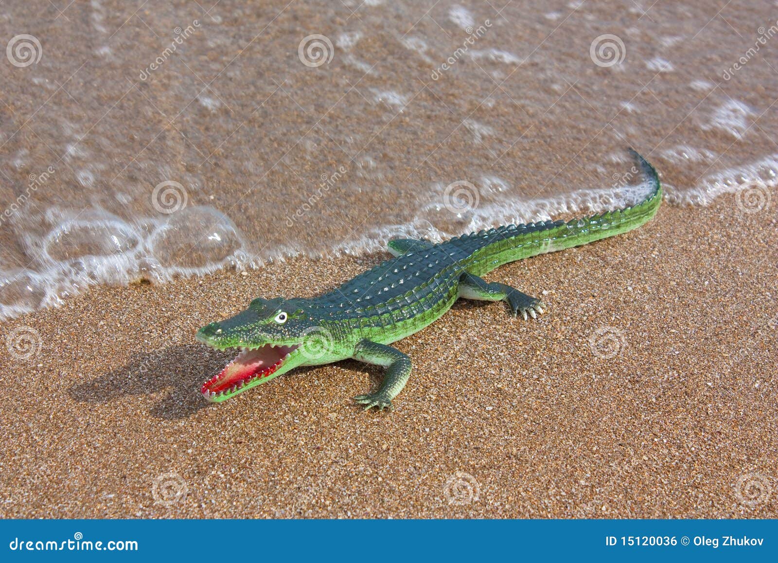 Toy crocodile stock photo. Image of sand, green, crocodile - 15120036
