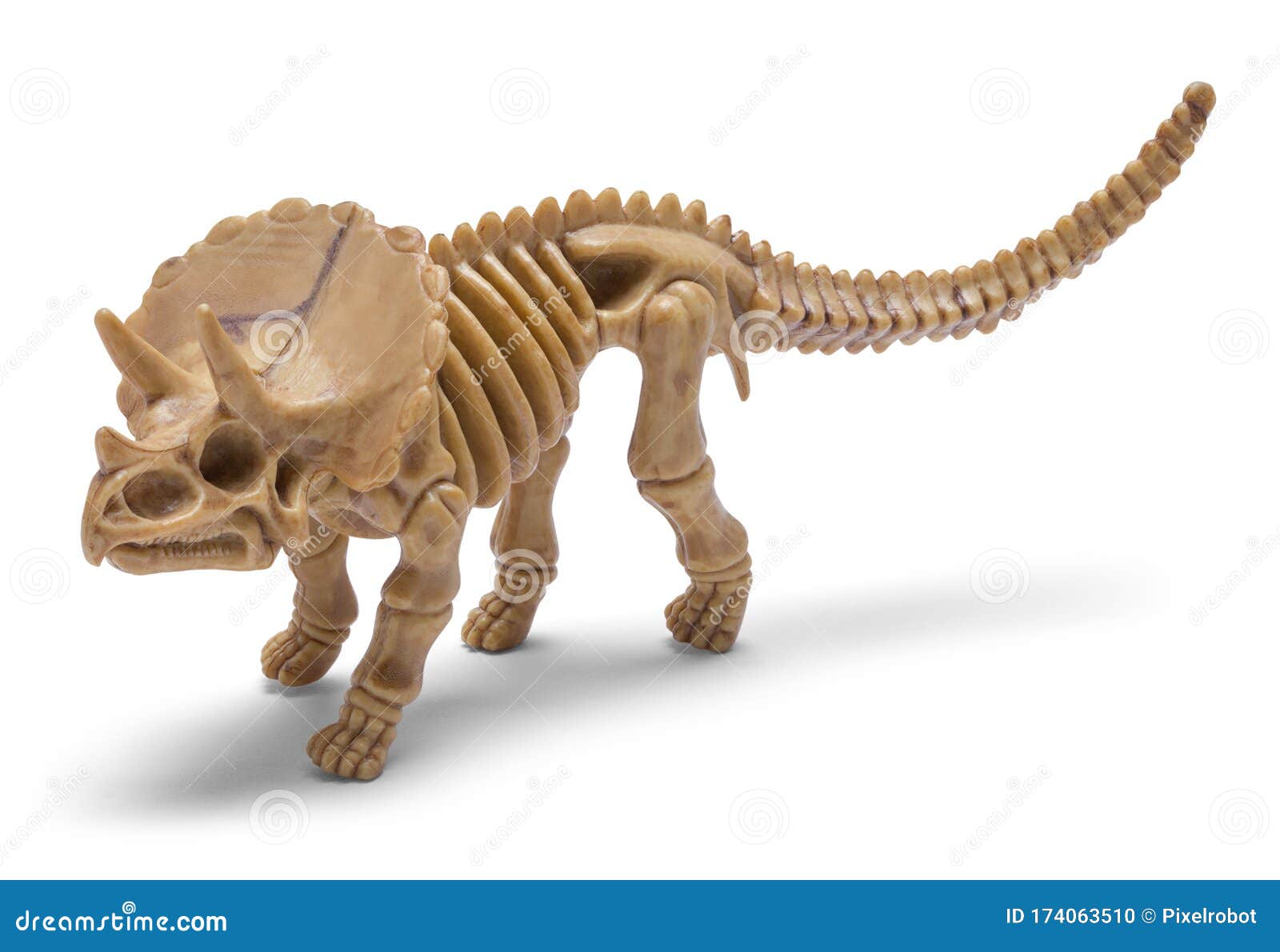 Dino Skeleton In Stone Royalty-Free Stock Photography | CartoonDealer ...