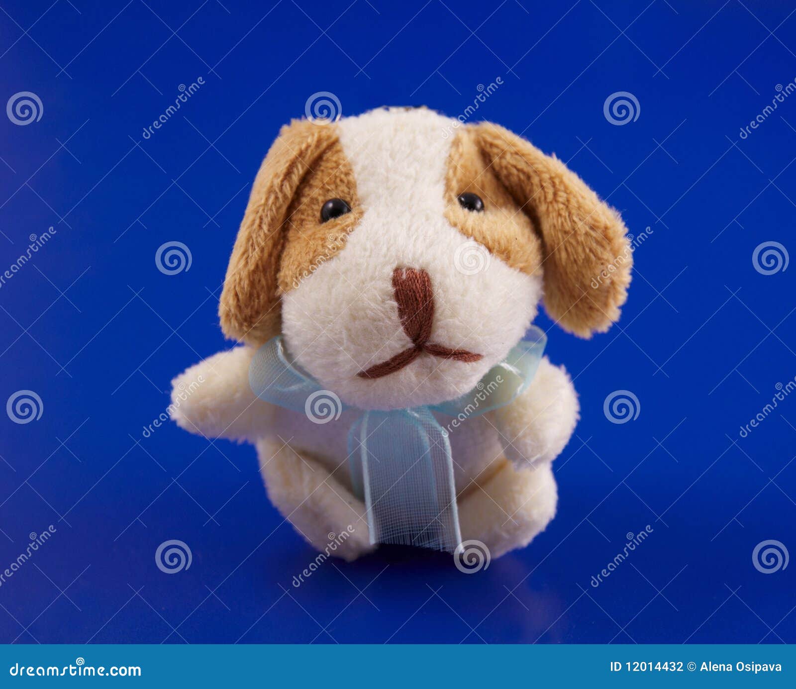 Toy dog stock photo. Image of friendship, isolated, face - 12014432