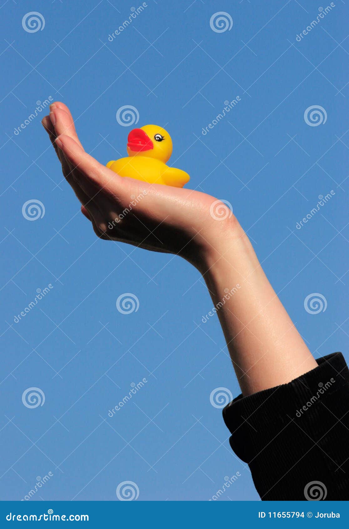 Toy duck stock photo. Image of blue, duck, hand, gentle - 11655794