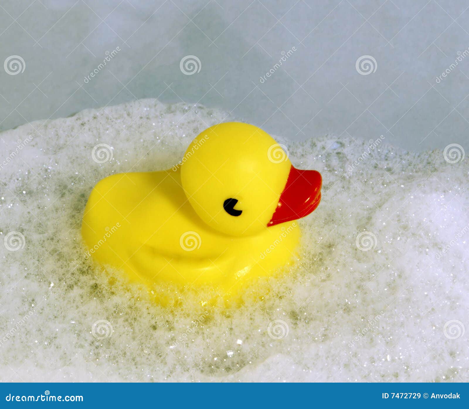 Toy duck in foam stock image. Image of bathtub, isolated - 7472729