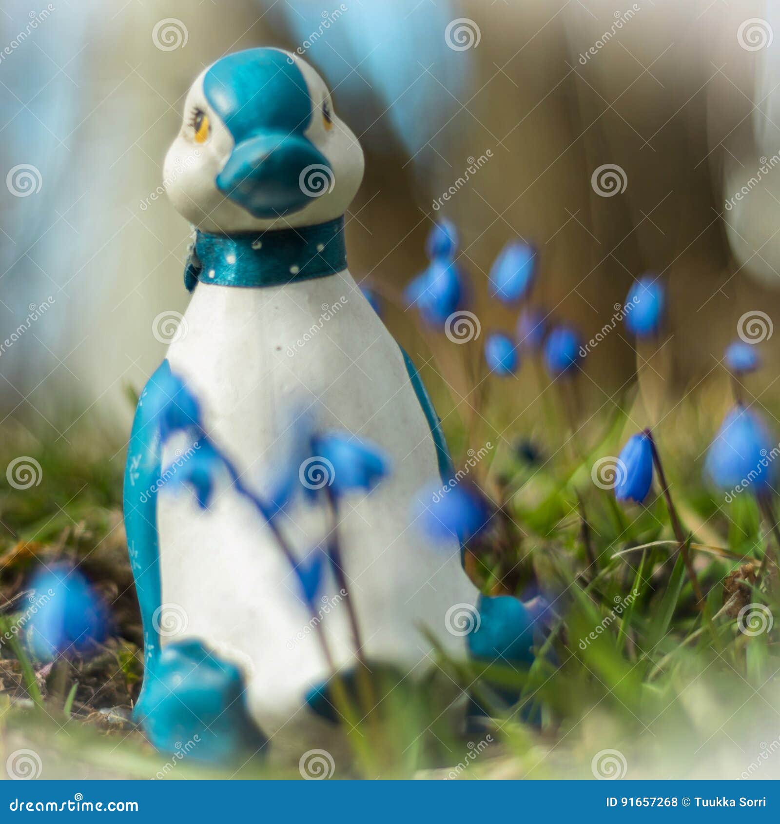Toy Duck with Spring Flowers Stock Photo - Image of spring, toyduck ...