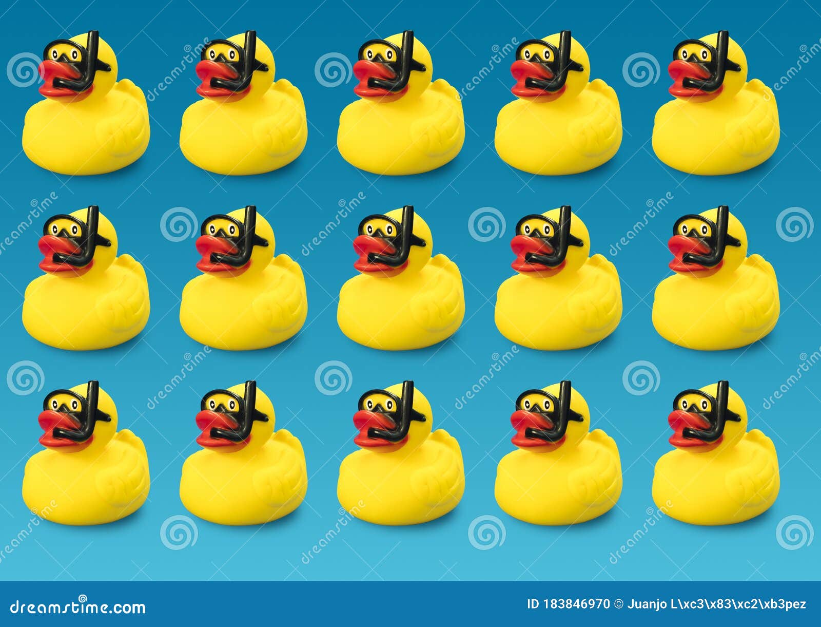 Toy Ducks Wearing Diving Goggles and Snorkel in Blue Background Stock ...