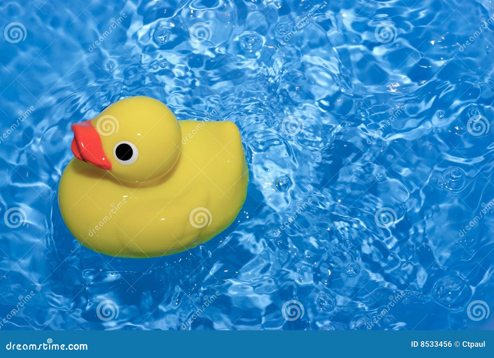 Toy ducky in water stock photo. Image of bathe, pool, splash - 8533456