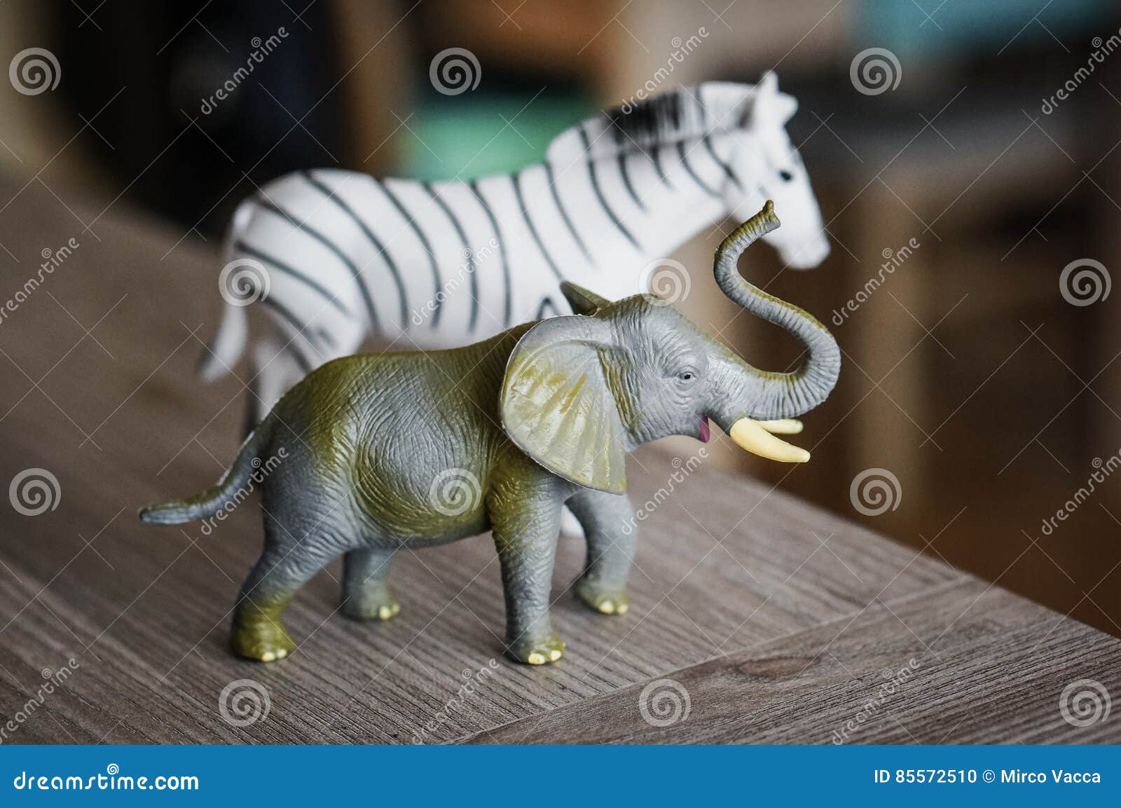 Elephant And Zebra In Zoo Safari Park,Villahermosa,Tabasco,Mexico ...