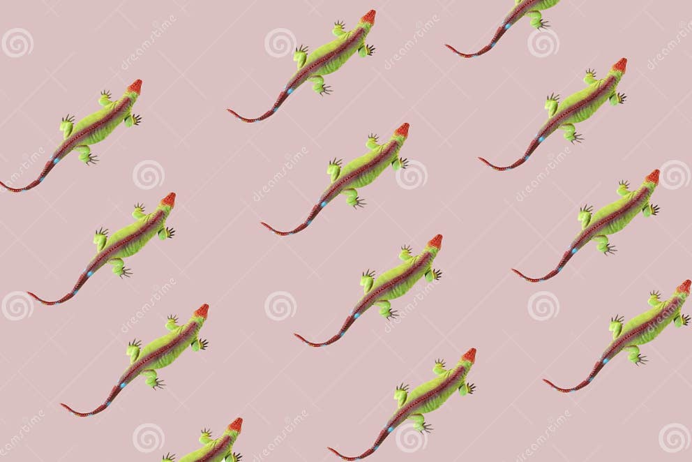 Toy Figure Lizard. Top View Stock Image - Image of background, jurassic ...