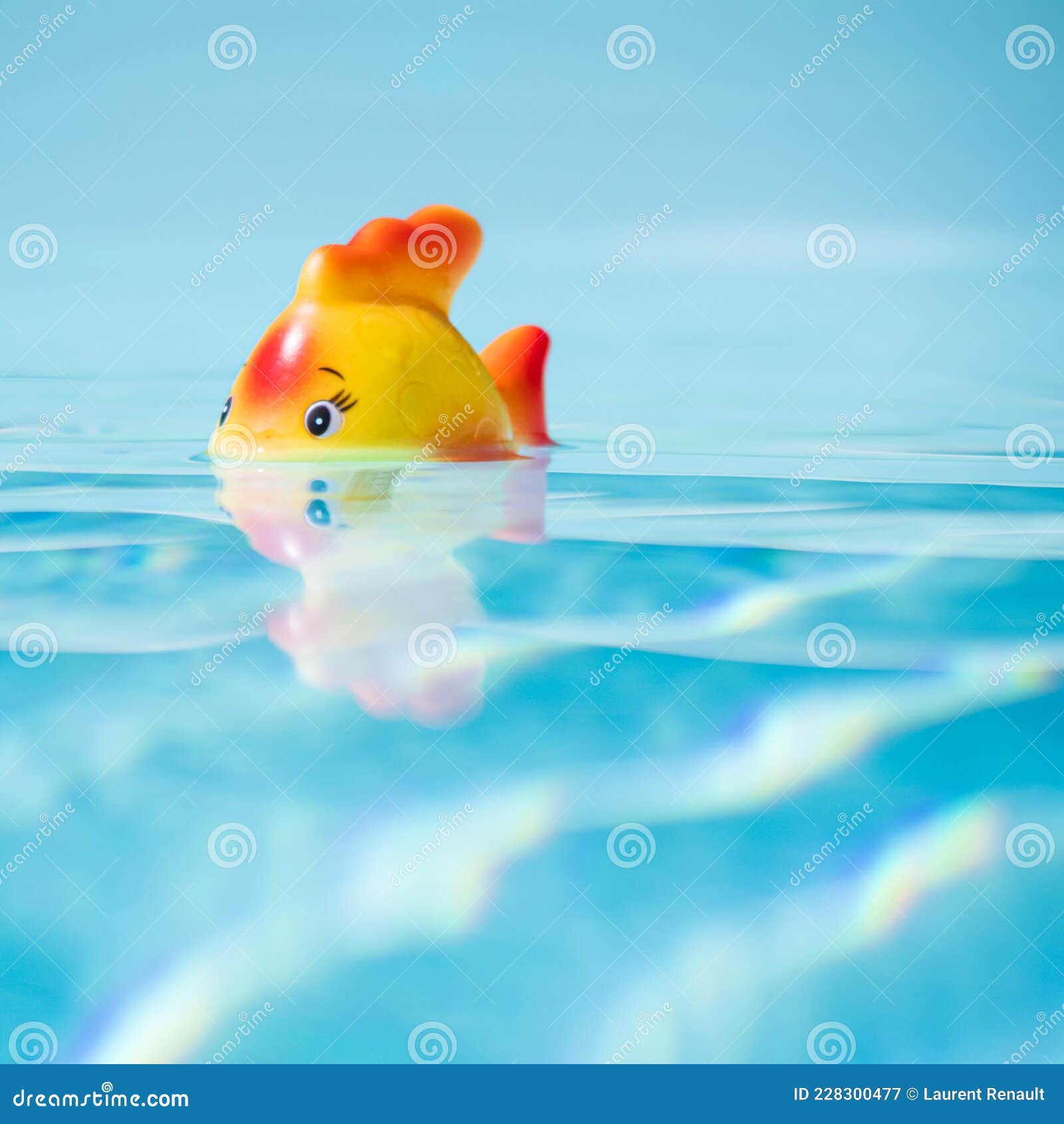 Toy fish in swimming pool stock image. Image of swimming - 228300477