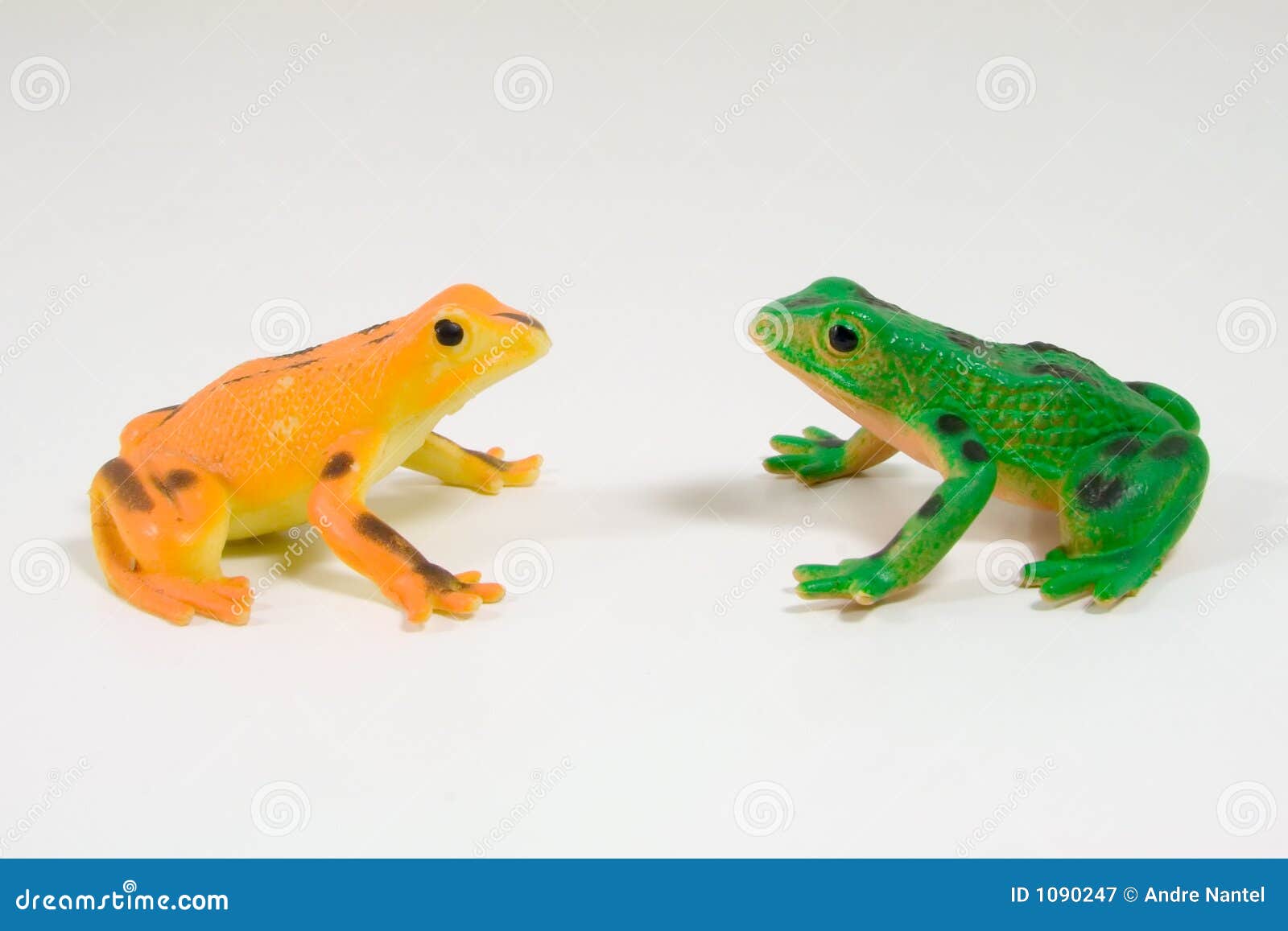 Toy Frogs Face Off stock image. Image of relations, face - 1090247 Toy Frogs Face Off stock image. Image of relations, face - 1090247