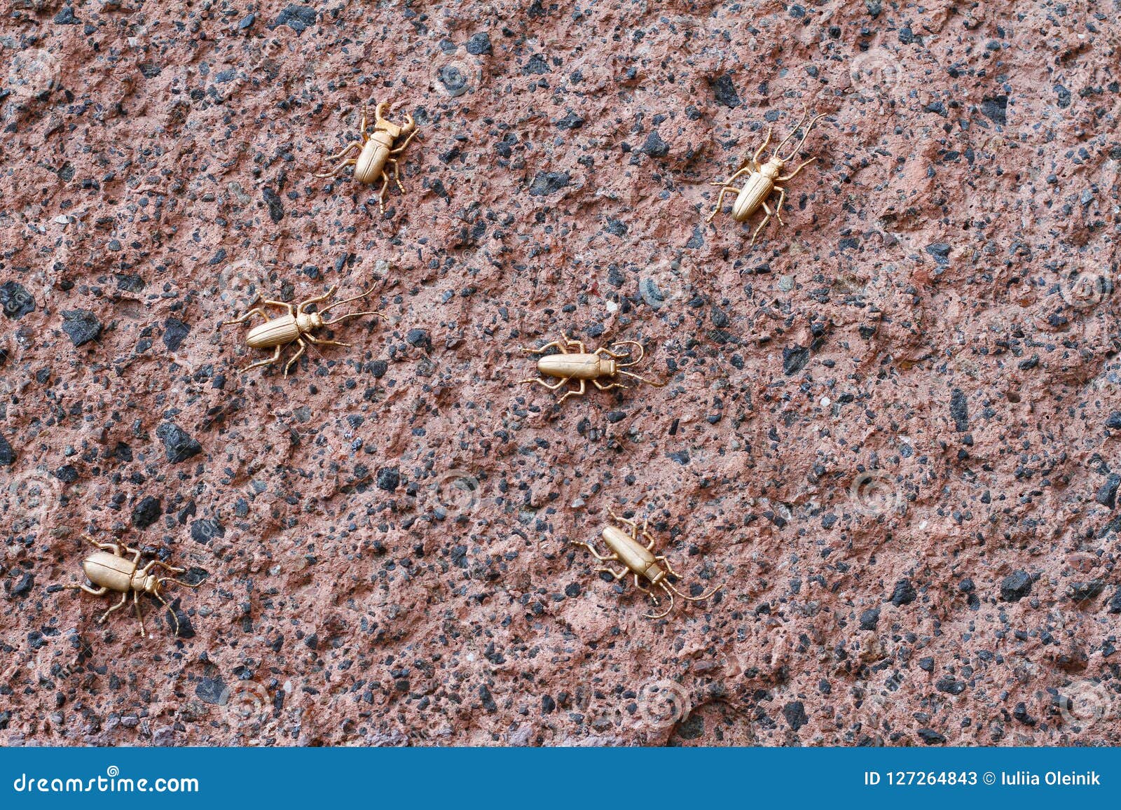 Toy Insects on a Granite Stone Stock Image - Image of grained, group ...