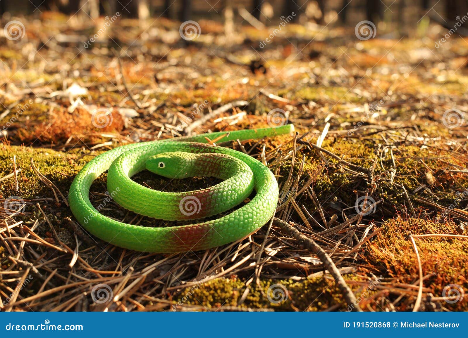 Toy Green Snake in a Sunny Forest on Coniferous Ground Stock Photo ...