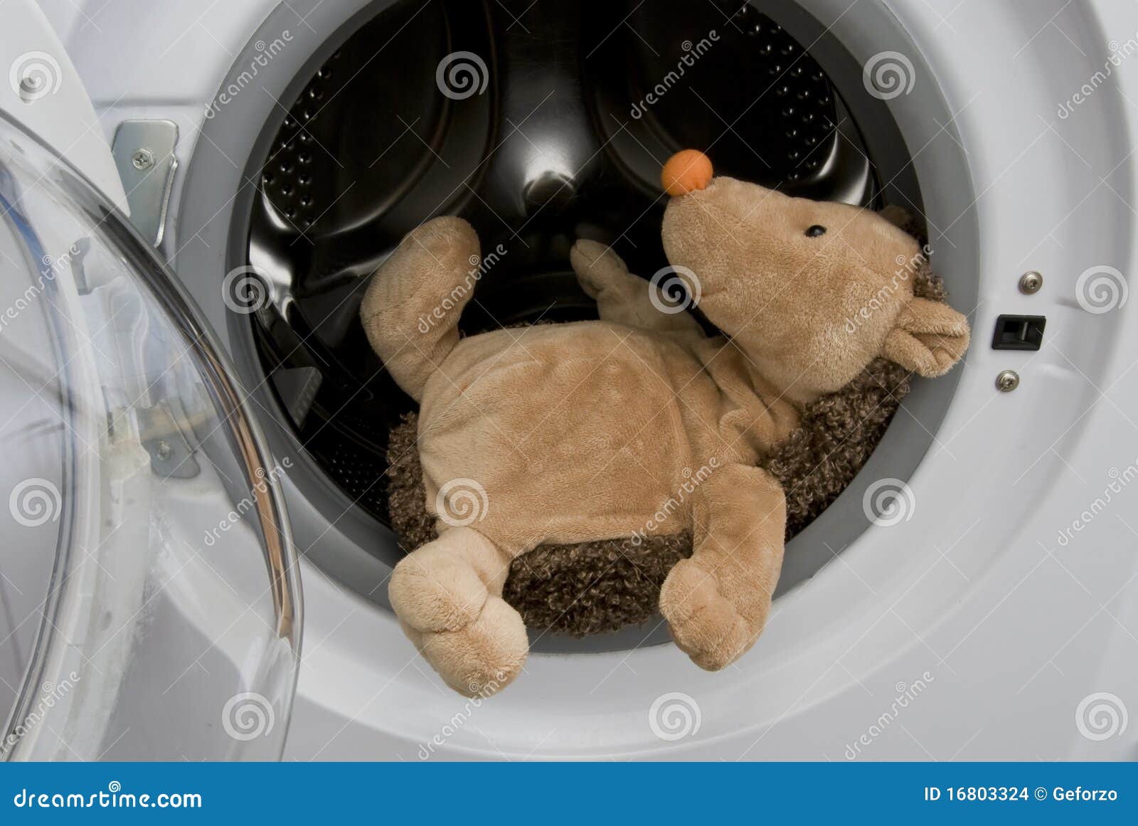 Toy Hedgehog in Washing Machine Stock Photo - Image of fluffy, small ...