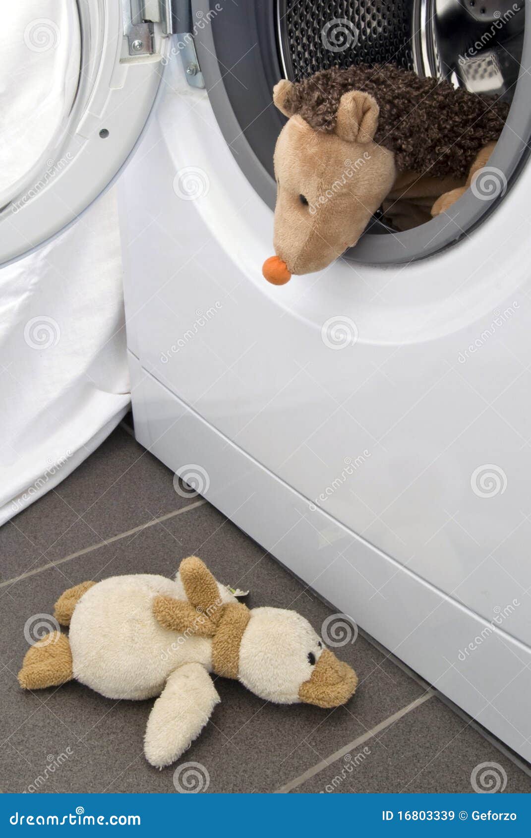 Toy Hedgehog in Washing Machine with Duck Stock Image - Image of duck ...