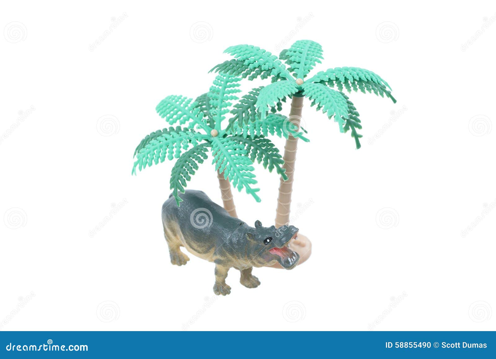 Toy Hippo with Trees stock photo. Image of white, animals - 58855490