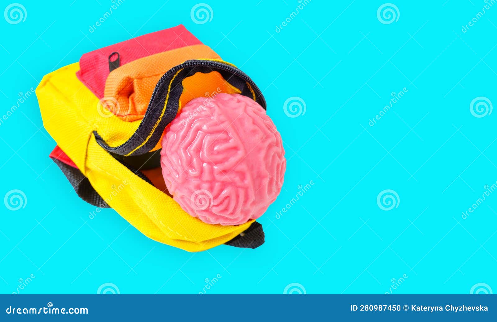 Toy Human Brain Model in a Vibrant Backpack on Blue Stock Photo - Image ...