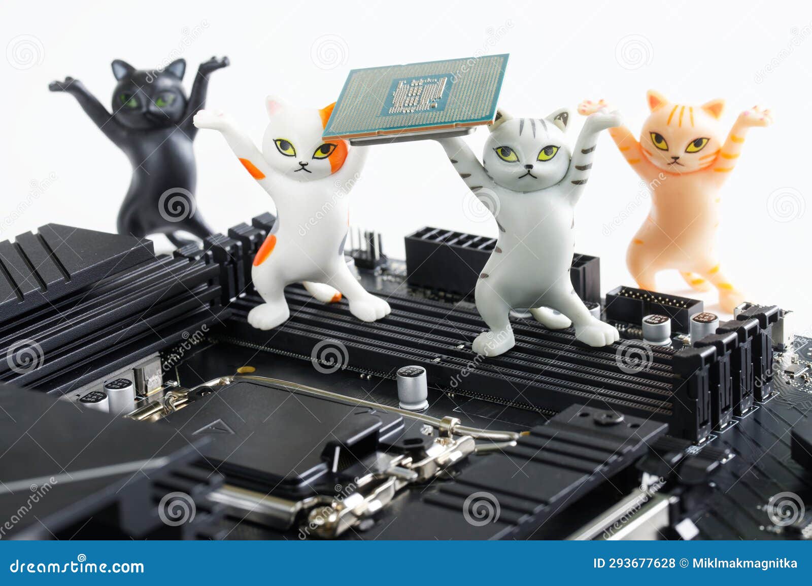 Toy Kittens Hold Computer Processor Next To the Socket for Installing ...