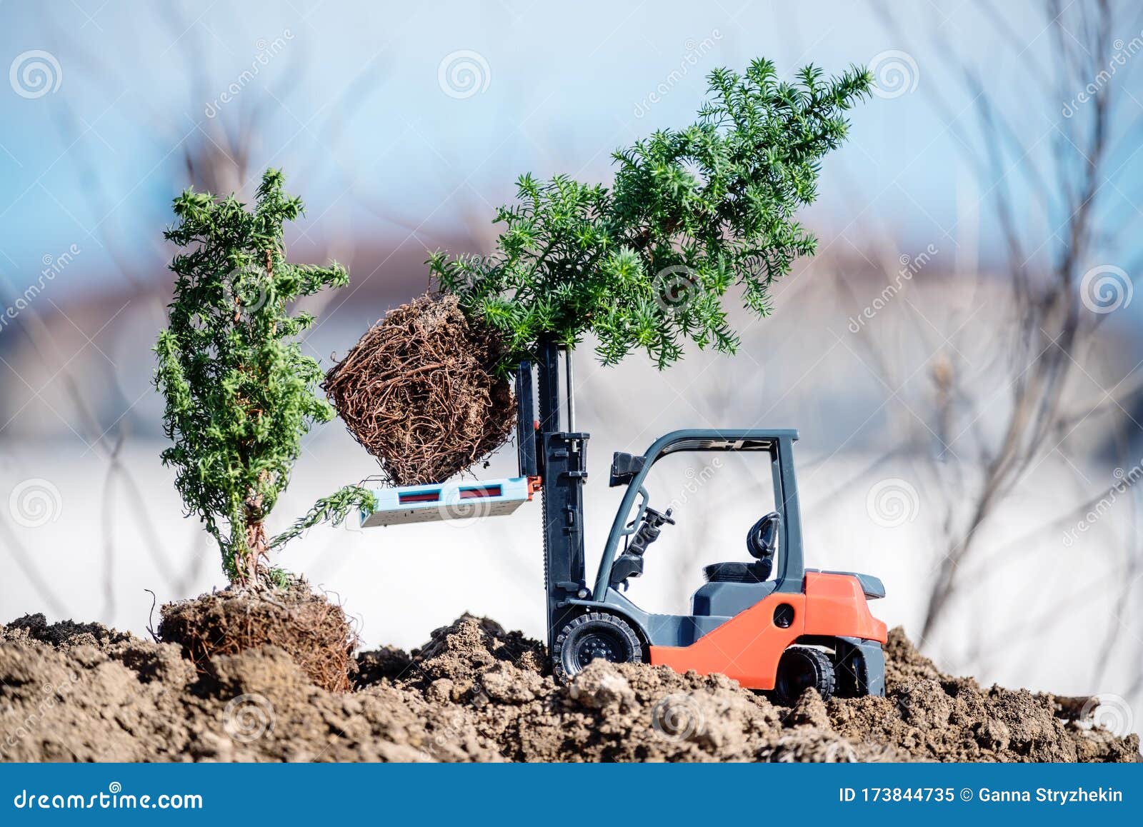 A Toy Loader Loads and Plants Small Coniferous Trees in the Ground ...