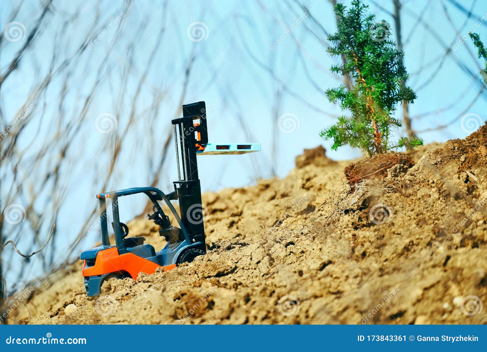 A Toy Loader Loads and Plants Small Coniferous Trees in the Ground ...