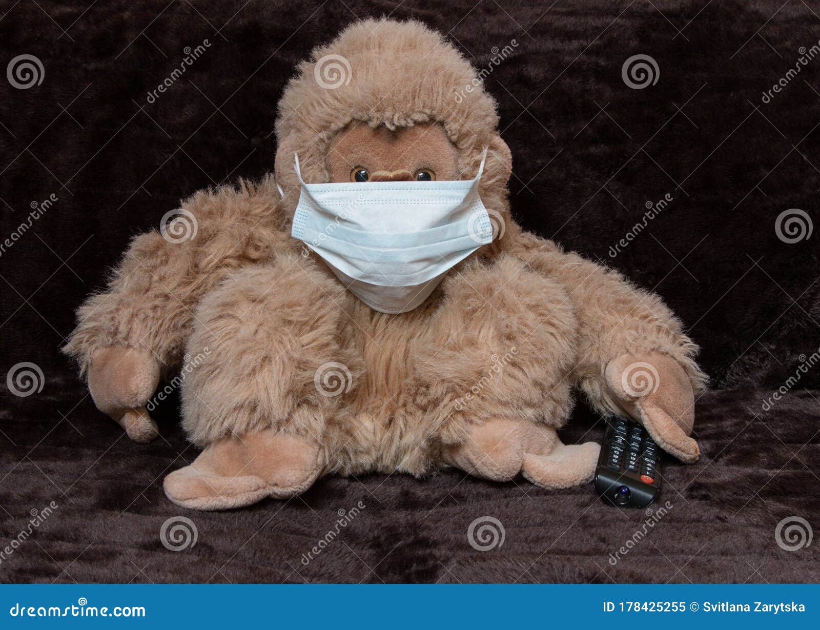 Toy Monkey in a Medical Mask with TV Remote Control Stock Image - Image ...