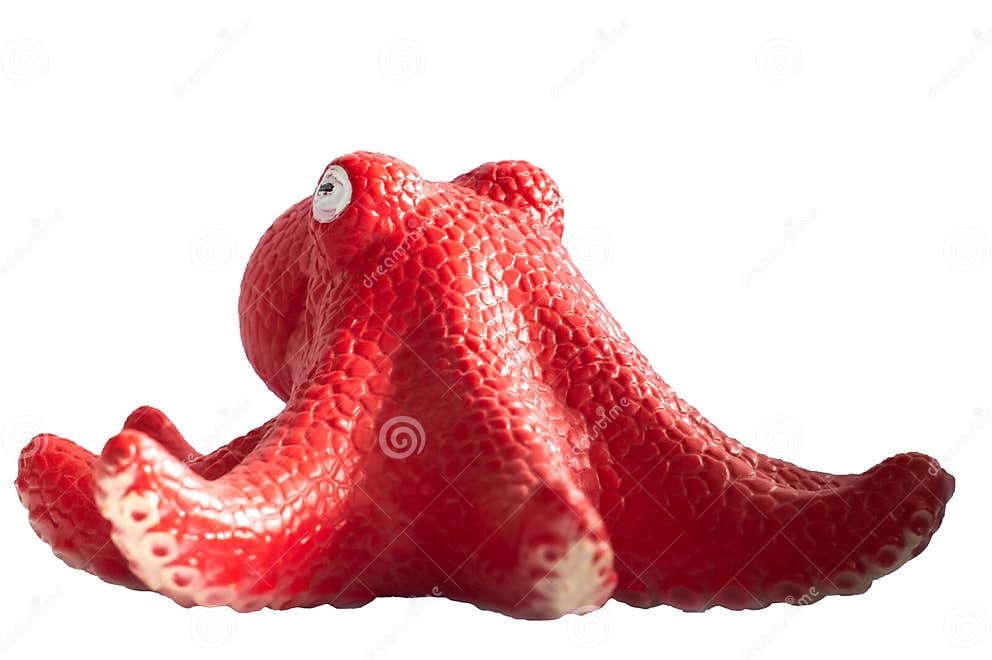 Toy Octopus Protein Isolate Stock Photo - Image of resembling, work ...