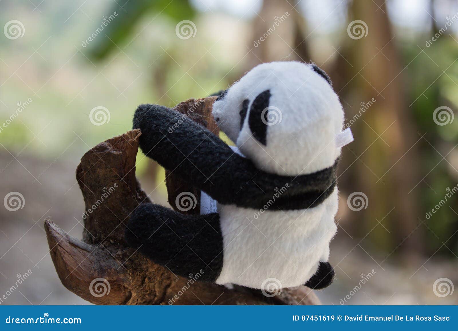 Toy panda bear stock image. Image of bear, tiny, trunk - 87451619
