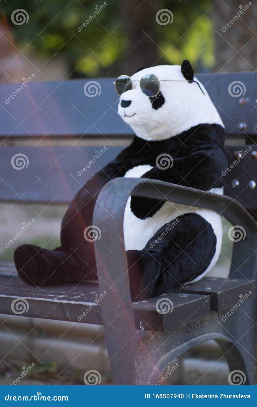 Toy Panda Sitting on a Park Bench Stock Photo - Image of sunset ...