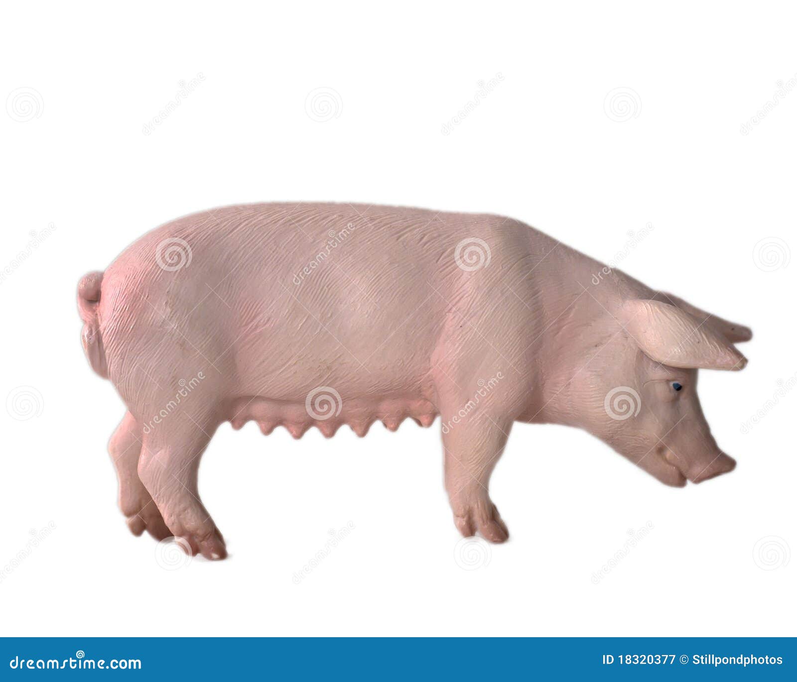 Toy Pig stock image. Image of pink, animal, rural, farm - 18320377