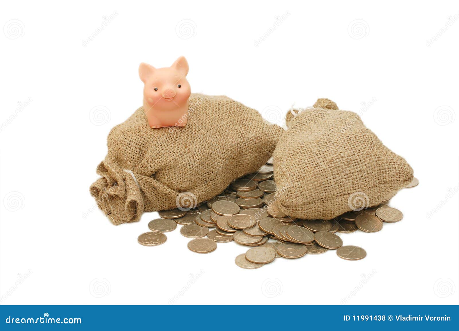 Toy pig with bags of money stock photo. Image of finance - 11991438